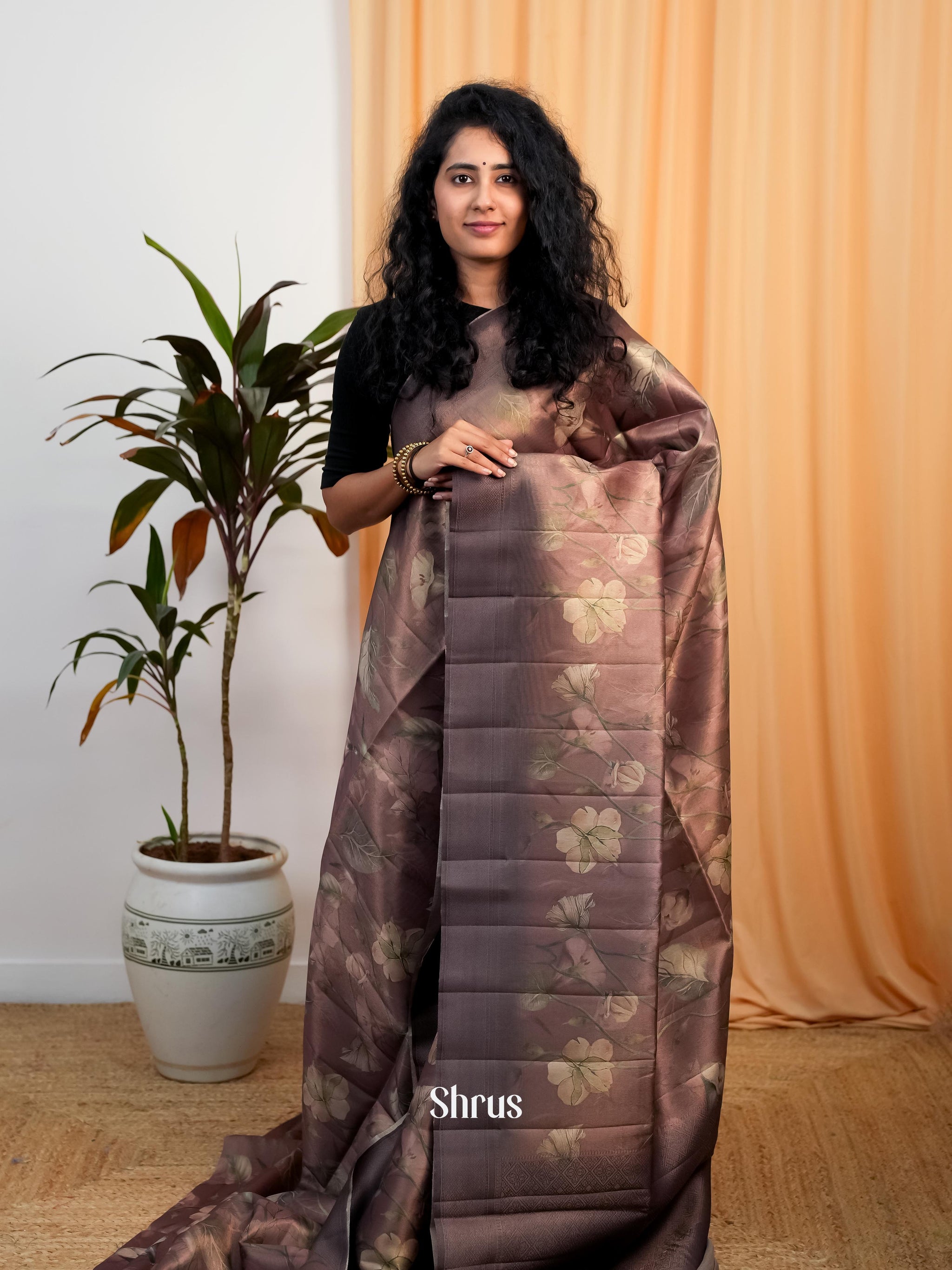 Brown - Moonga Saree