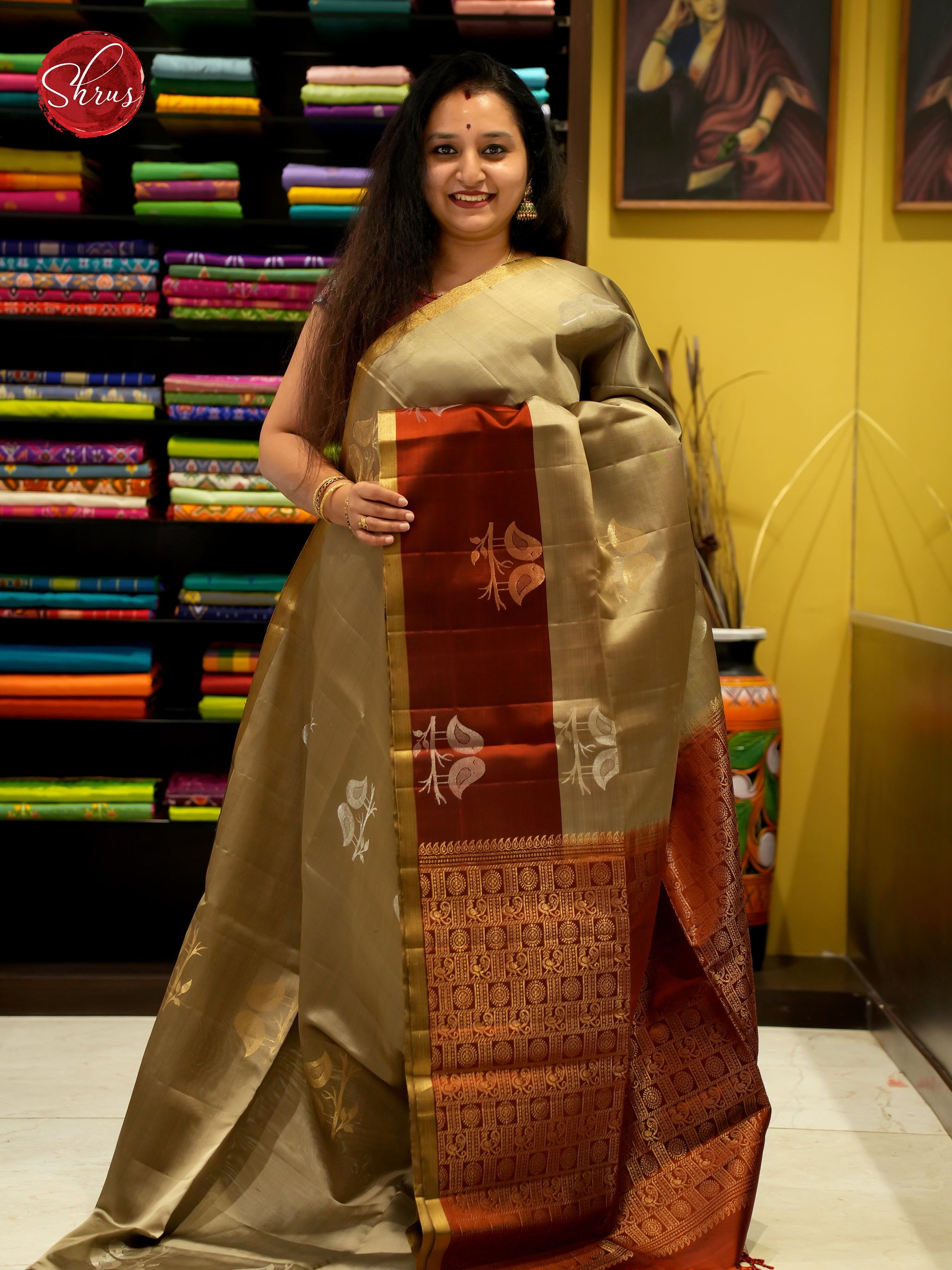 Grey & Rust -Soft silk Saree