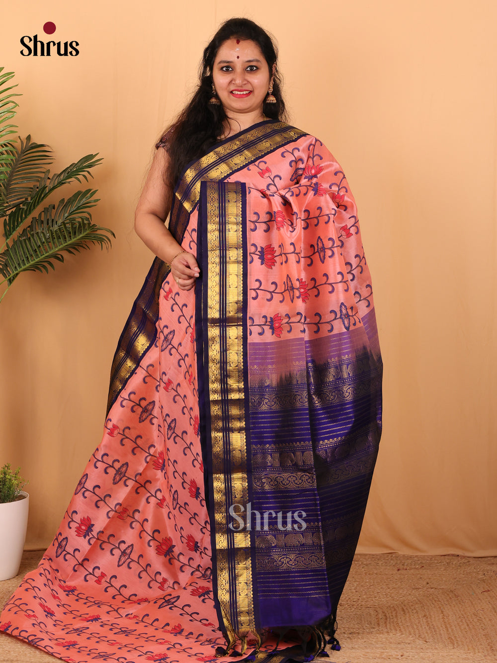 Pink & Blue - Hindolam Saree