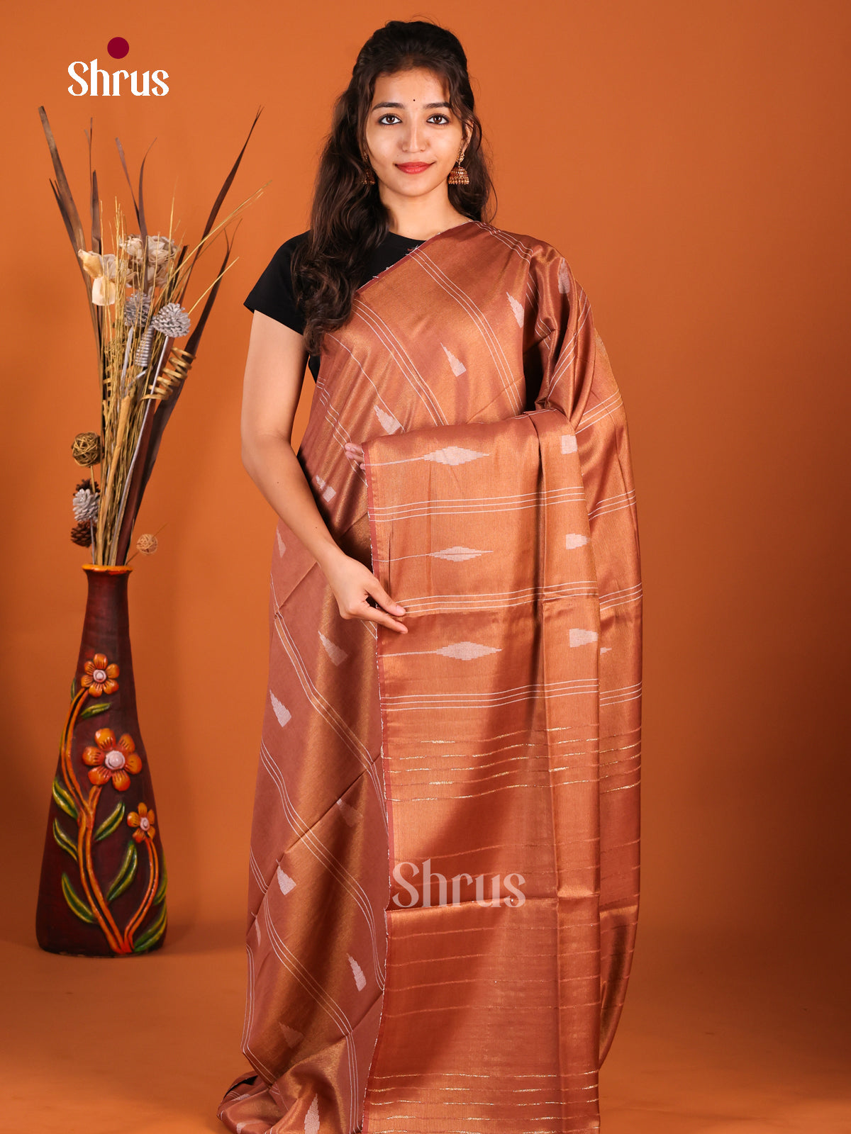 Brown - Semi Tissue Saree